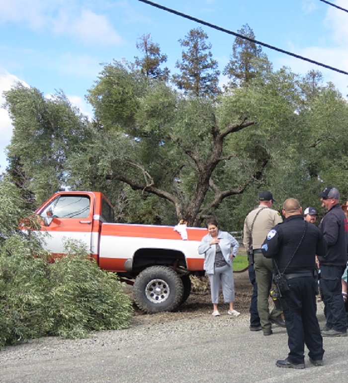 Pickup takes out tree near Orland – The Glenn County Observer