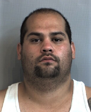 Felon convicted, sentenced for having ammo – The Glenn County Observer