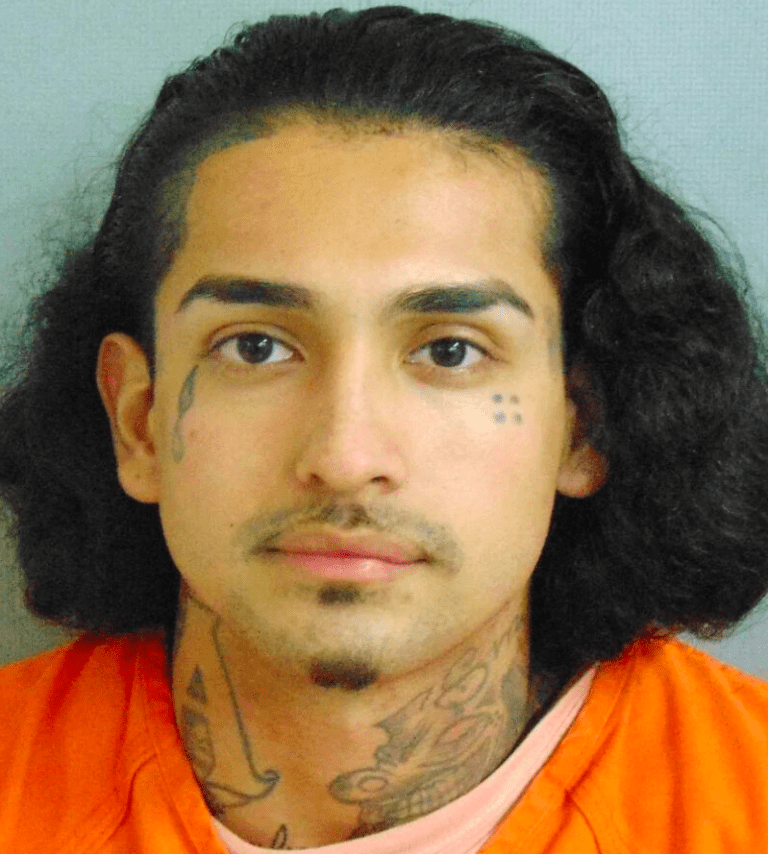 The Glenn County Observer – Page 3 – Veni, vidi, scripsi